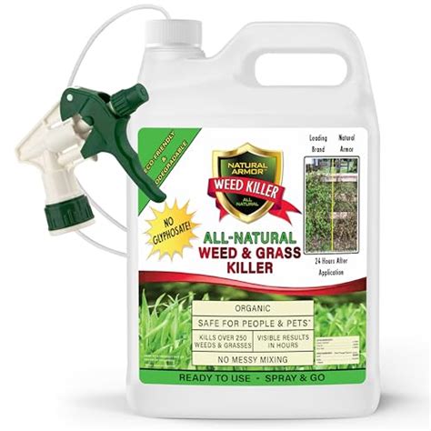 Top Weed Killers That Are Safe For Your Grass 2025 Garden Tips And Tools
