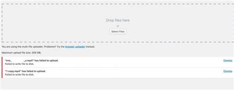 WordPress Failed To Write File To Disk How To Fix This