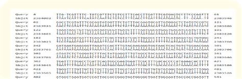The Pair Wise Sequence Alignment At Nucleotide Level Hlg Gene