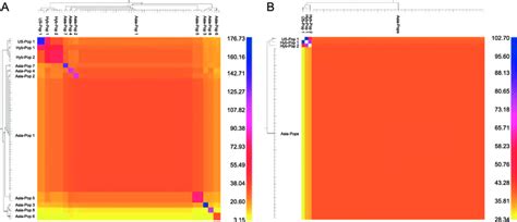 Population Structure According To Finestructure A Coancestry Matrix Download Scientific