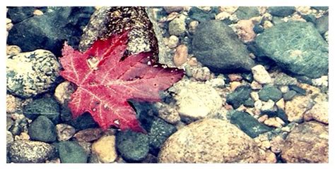 Jay Johnson Jay Johnson Added A New Photo