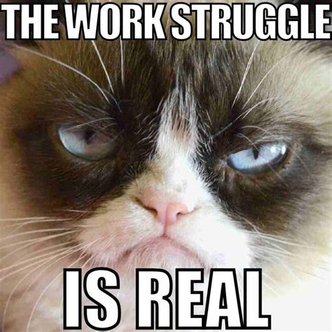 250 Best Funny Work Memes To Share With Coworkers Work Humor Work