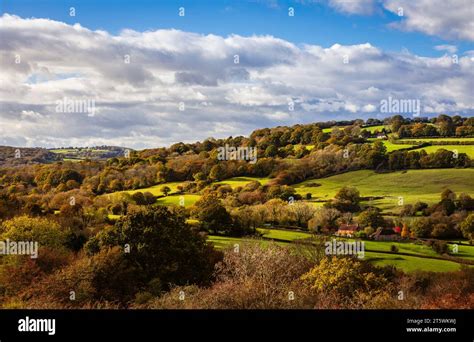 Beautiful Autumn Countryside And Woodland On The High Weald Near