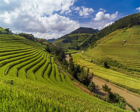 Iaes Cgiar Independent Advisory And Evaluation Services