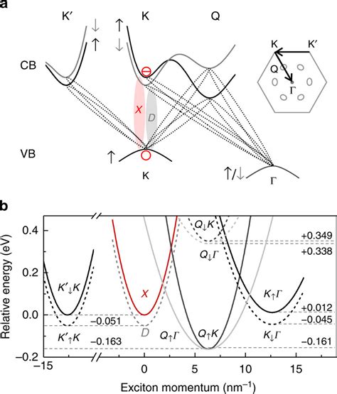 Excitons In Bilayer Wse2 A Schematic Single Particle Band Diagram Of