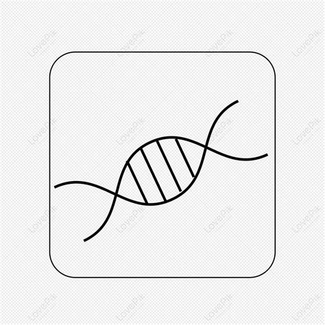 Dna 선형 아이콘 Png 일러스트 무료 다운로드 Lovepik