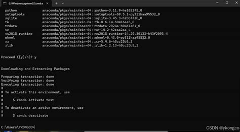 如何用anaconda 创建环境并选择解释器运行在vscodeconda Create Name Python 311 Csdn博客