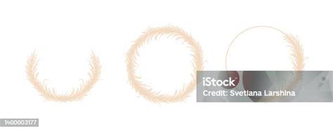 마른 팜파스 잔디가있는 둥근 프레임 보호 스타일의 베이지 색 코르타데리아 화환 흰색 배경에 고립 된 벡터 말린 꽃 초대장 엽서