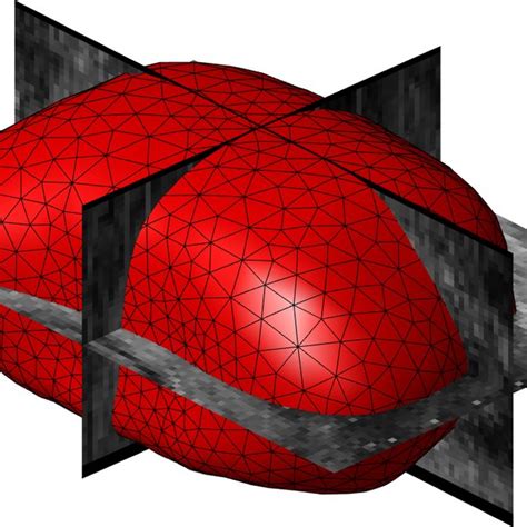Example 3d Segmentation Result Download Scientific Diagram