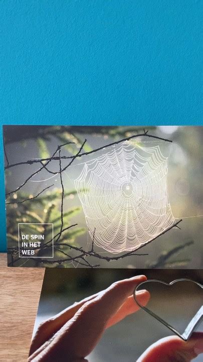 [video] Eric Van Leeuwen Posted On Linkedin