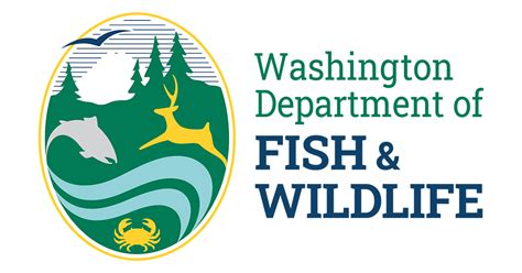 WDFW Announces 42 Tentative Days Of Coastal Razor Clam Digging