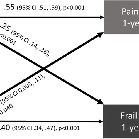 Cross Lagged Path Analysis Model Showing Standardised Regression