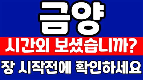 금양 주가전망 무리한 투자이유 확인하세요 대응필수김프로금양2차전지4695 Youtube