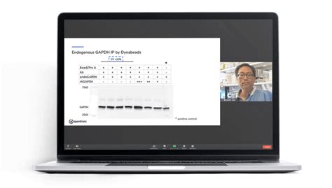 Automated Protein Purifications Opentrons Labworks