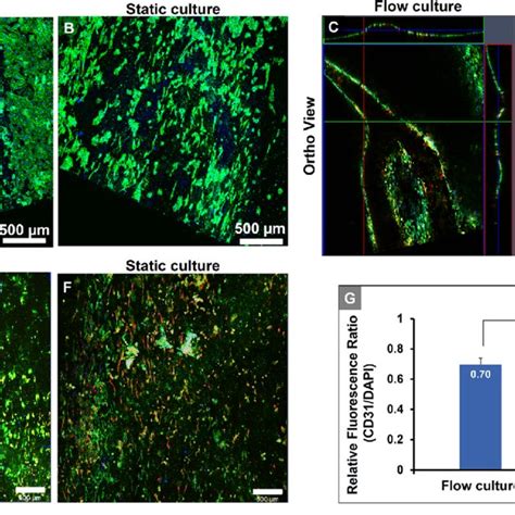 Permeability Of The Fitc 70 Kda Dextran Tracer Through A Electrospun