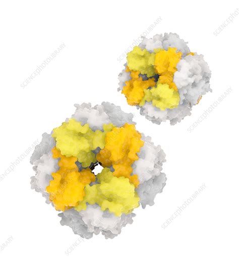 Rubisco Carbon Fixation Enzyme Molecules Illustration Stock Image