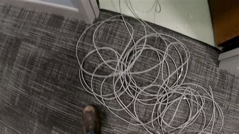 Cabling Solutions Group On Linkedin Party In The Mdf Room😎 Structuredcabling Fiberoptics