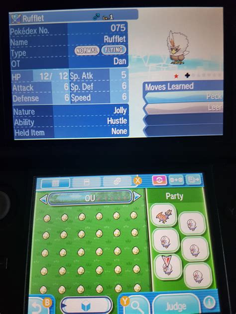 7 Finally A Shiny HA Rufflet After 2186 Eggs First Shiny Rufflet Was