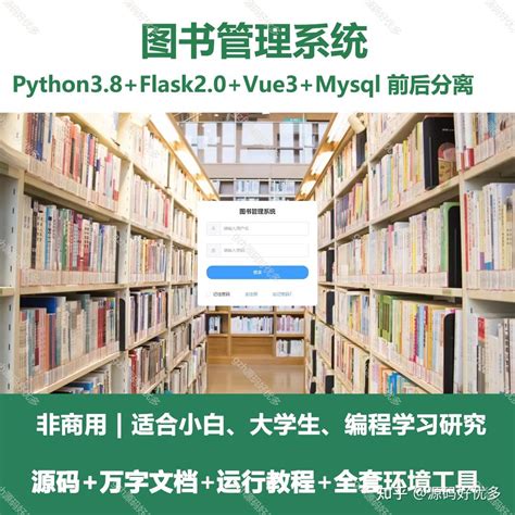 Python Vue