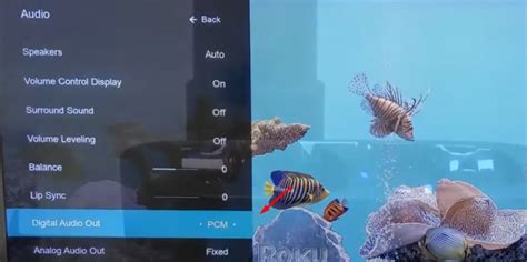 Vizio TV Bluetooth Pair With Headphones Speakers Soundbars