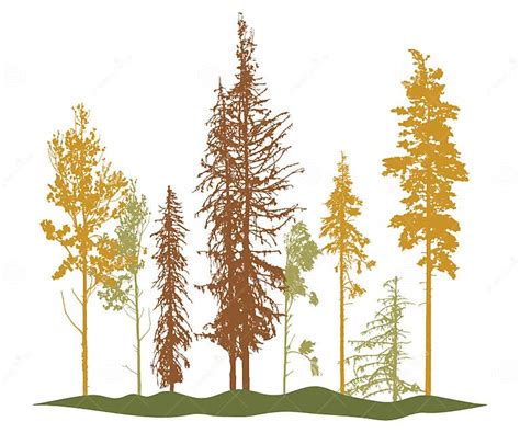 Autumn Woodland Silhouette Of Bare Tree Trees With Leaves And Spruces Tree And Pines Vector