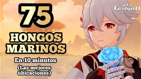Hongo Marino Mejores Ubicaciones 75 Hongos Marinos Genshin Impact