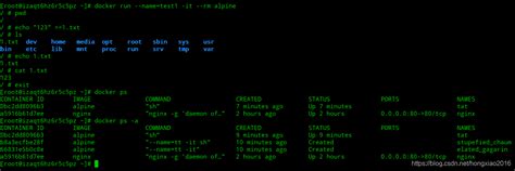 8 docker run rm csdn博客