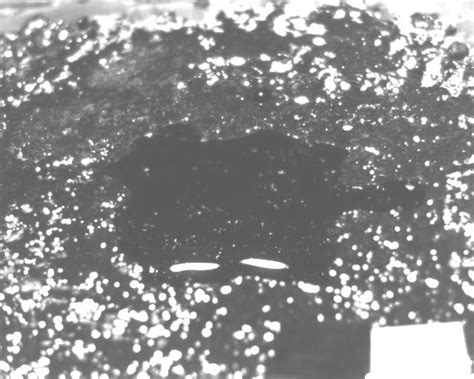 Road Seg Instance Segmentation Dataset By Road Reflection