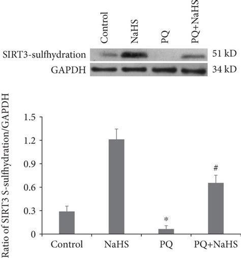 Effects Of Exogenous H2s On Sirt3 Idh2 Signaling In Pq Induced