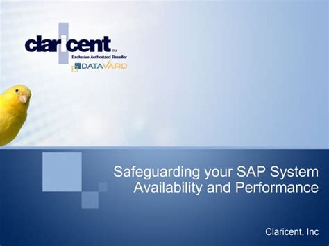 Safeguarding Your Sap System Availability And Performance Pdf