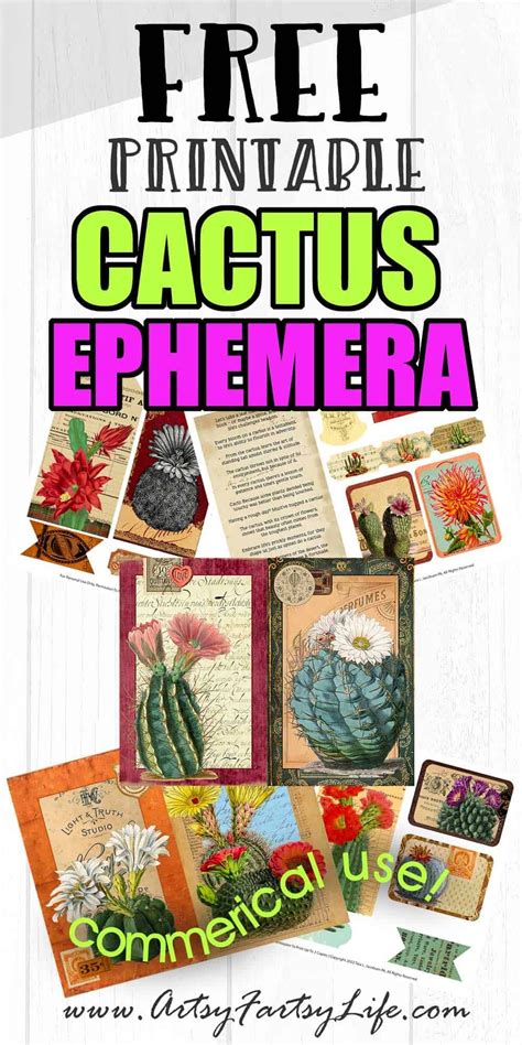 Best 13 Cactus Vintage Ephemera Collage Sheets Free Printables Artofit