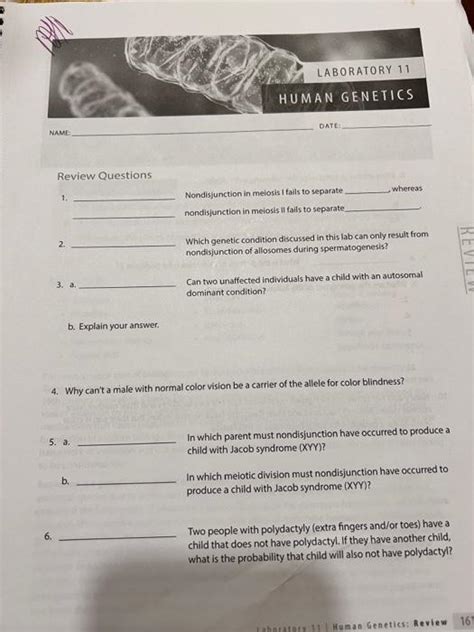 Solved Review Questions 1 Nondisjunction In Meiosis I Fals