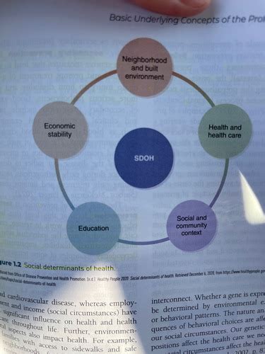 Chapter 1 Flashcards Quizlet