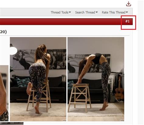 NeoDownloader Bulk Image Downloader