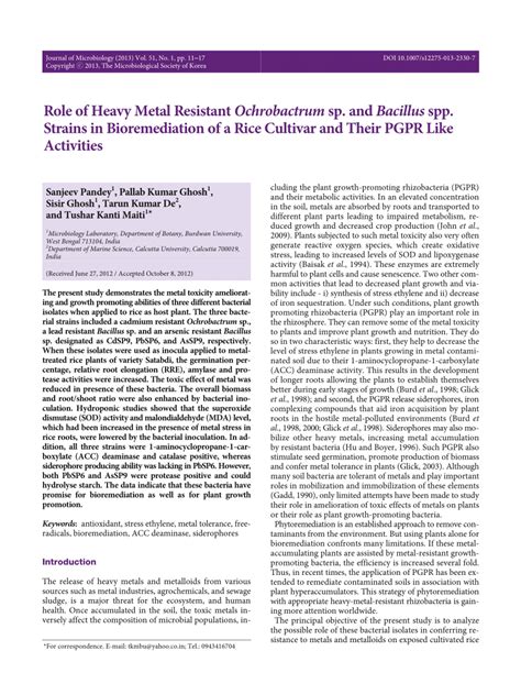 Pdf Role Of Heavy Metal Resistant Ochrobactrum Sp And Bacillus Spp Strains In Bioremediation