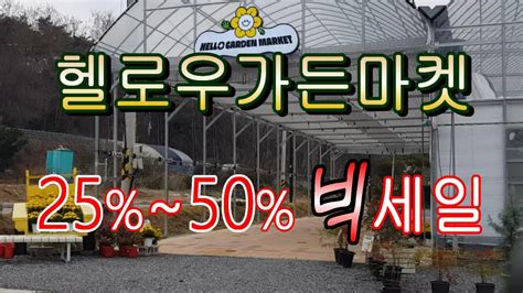 헬로우 가든 마켓 🌳25~50 빅세일🌸퍼플바인 🌸비비드 팔손이 🌸필로덴드론 🌸 칼라데아 🌸 아프리카식물🌸 아칼리파🌸 다이아시아🌸립살리스4종 🌸전화주문 010 5018
