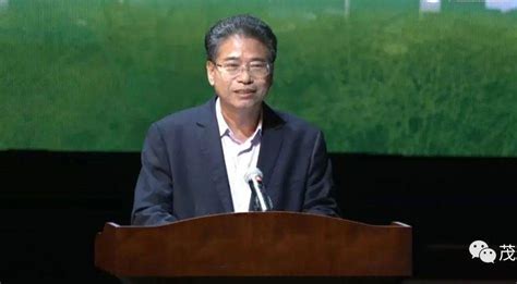 茂名市文明城市 你我共建主题文艺晚会精彩上演 创文 巩卫 工作