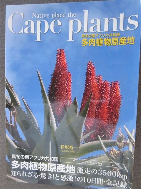 書籍販売 Cactu Bright