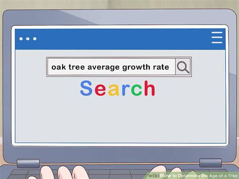 4 Ways To Determine The Age Of A Tree WikiHow