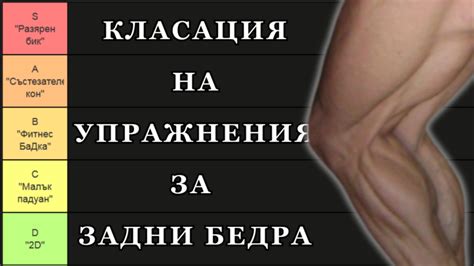 НАЙ ДОБРИТЕ и НАЙ ЛОШИТЕ упражнения за ЗАДНИ БЕДРА Любомир Иванов