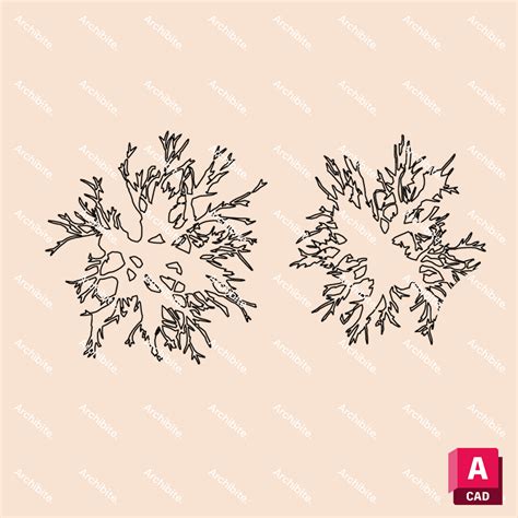 Dwg Winter Trees Plan