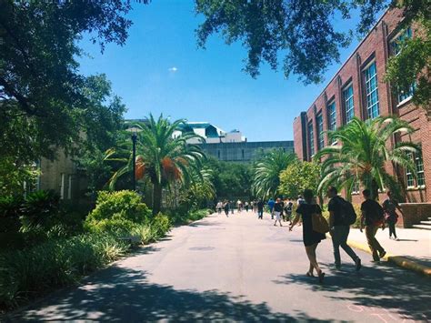 10 reasons why tulane university is my just right