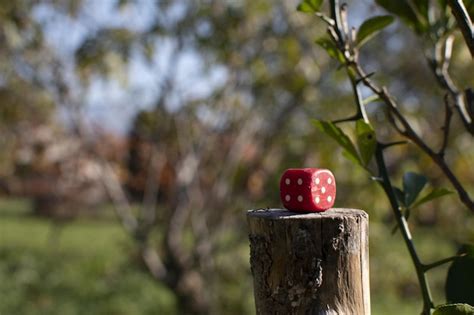 Premium Photo Red Cube Isolated In Nature
