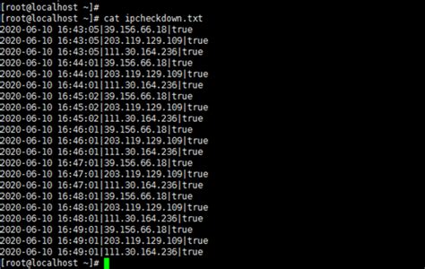 Linux Shell Ping