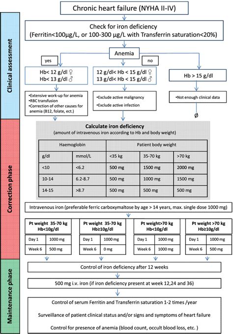 Proposed Algorithm For The Management Of Iron Deficiency In Heart Download Scientific Diagram