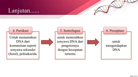 Isolasi Dna Pptx