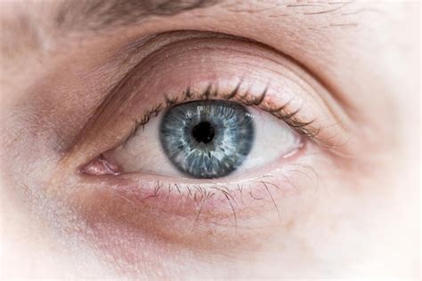 Premium Photo Eye Of The Guy