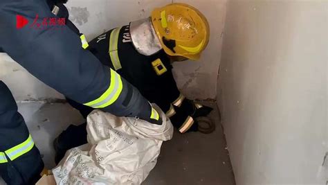 浙江宁波：长蛇私闯民宅 消防出动将其“逮捕”社会奇闻轶事好看视频