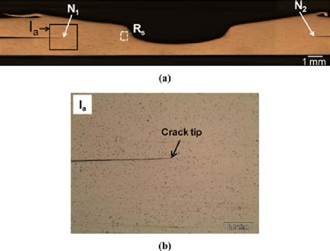 A An Optical Micrograph Of A Cross Section Along The Symmetry Plane