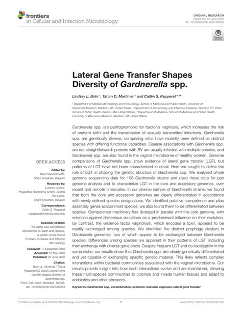 Pdf Lateral Gene Transfer Shapes Diversity Of Gardnerella Spp